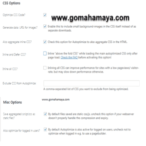 Autoptimize Plugin Setting WordPress Optimization 100/100 gtmetrix