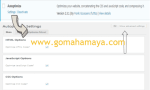Autoptimize Plugin Setting WordPress Optimization 100/100 gtmetrix
